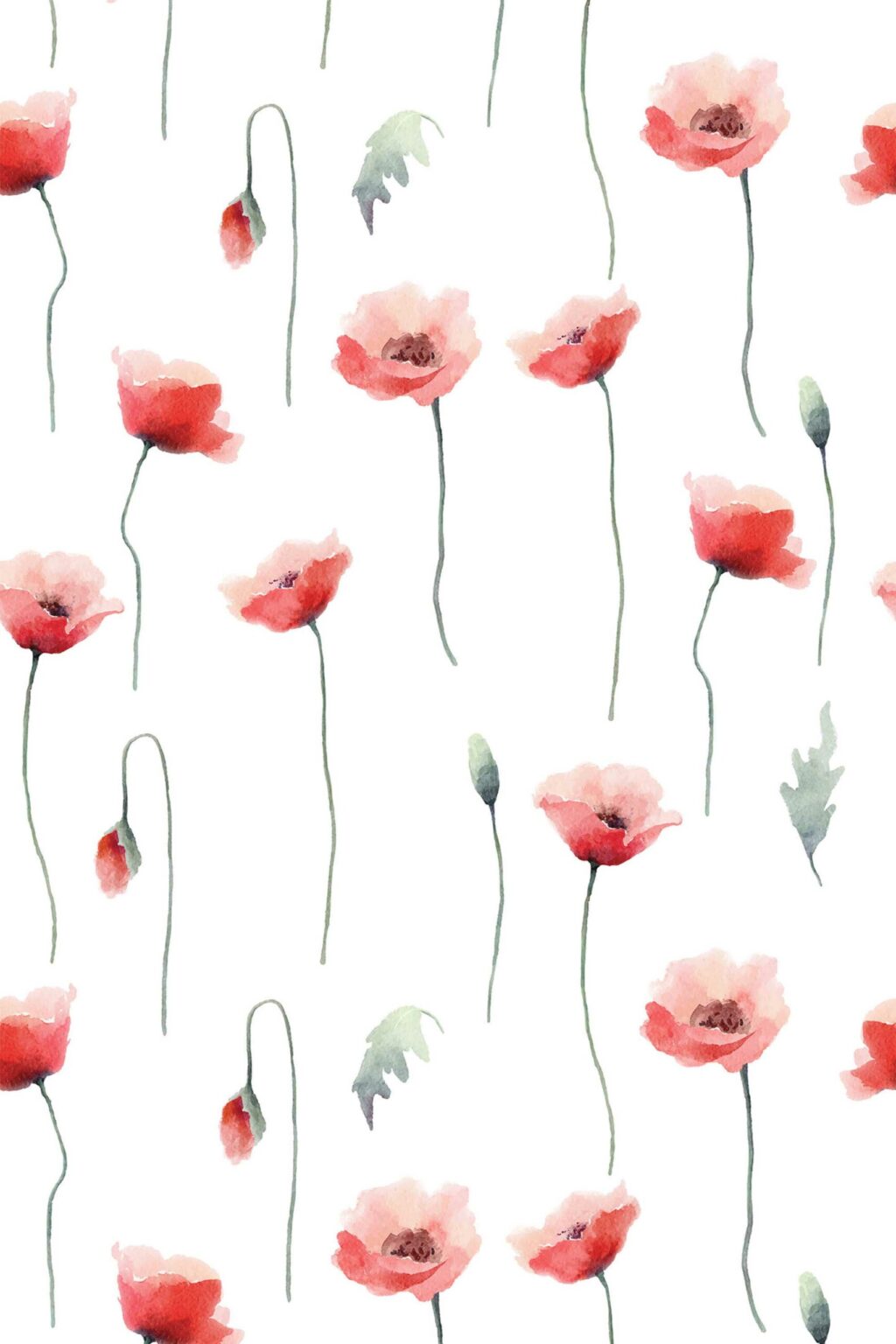 Watercolor Poppy Peel and Stick Wallpaper or Non-Pasted