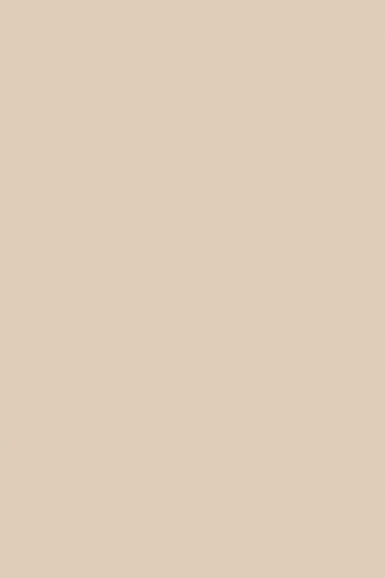 Solid Color Beige Peel and Stick Wallpaper or Non-Pasted