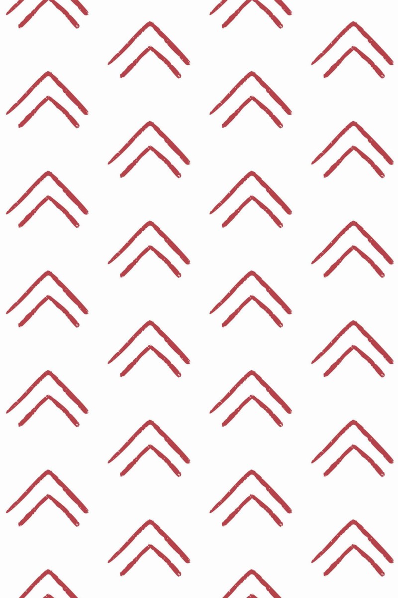 Cheerful Peel and Stick Wallpaper or Non-Pasted