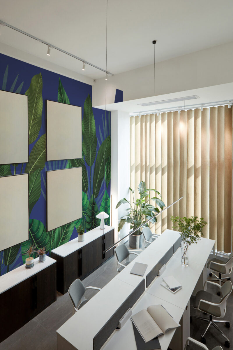 Tropic Dream Peel and Stick Wall Mural or Non-Pasted