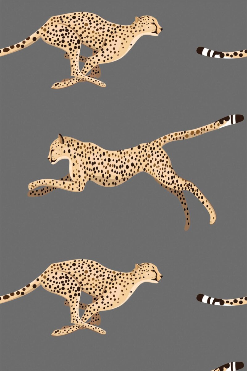 Gray Cheetah Peel and Stick Wallpaper or Non-Pasted