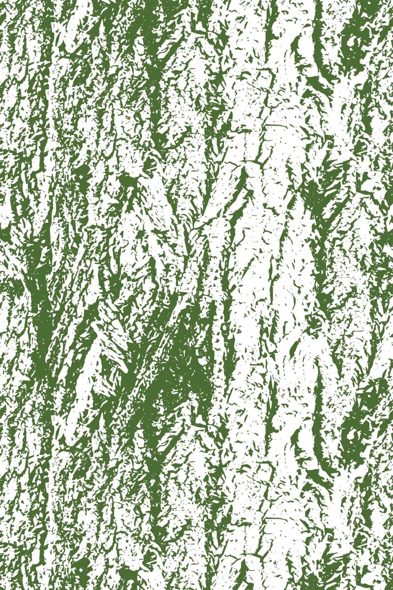Seamless Tree Bark Peel and Stick Wallpaper or Non-Pasted
