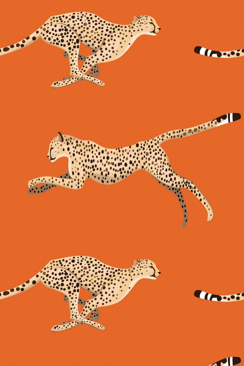 Vibrant Orange Cheetah Peel and Stick Wallpaper or Non-Pasted