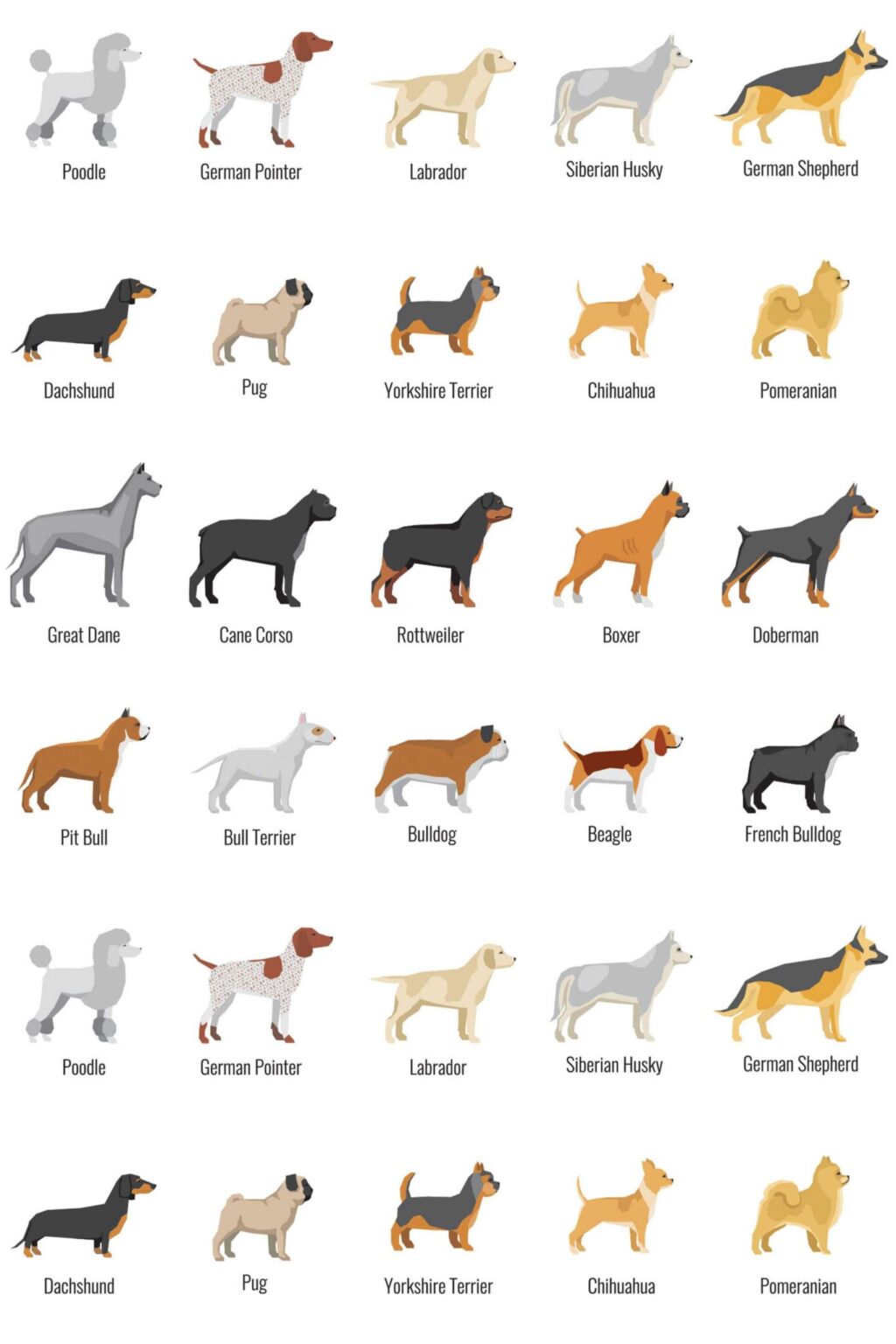 Dog Breed Spectrum Peel and Stick Wallpaper or Non-Pasted