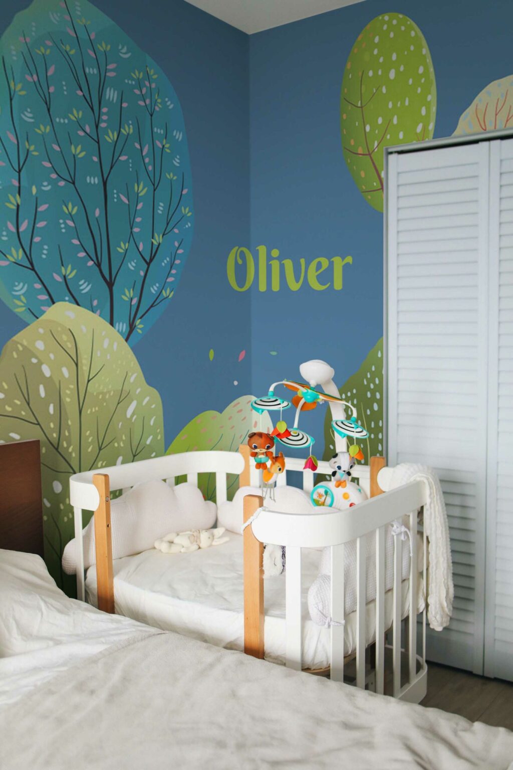 Colorful Tree Name Peel and Stick Wall Mural or Non-Pasted