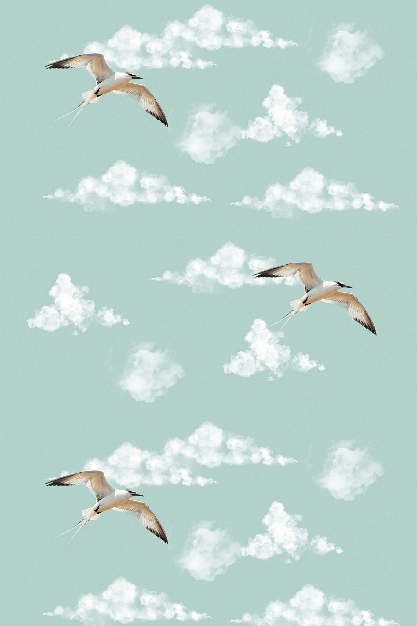 Blue Aesthetic Birds Peel and Stick Wallpaper or Non-Pasted