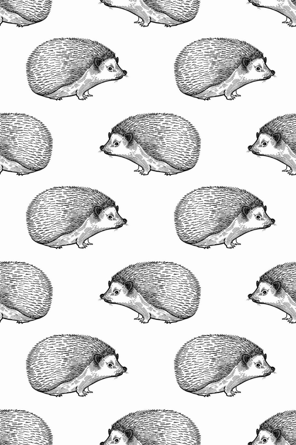Hedgehog Peel and Stick Wallpaper or Non-Pasted