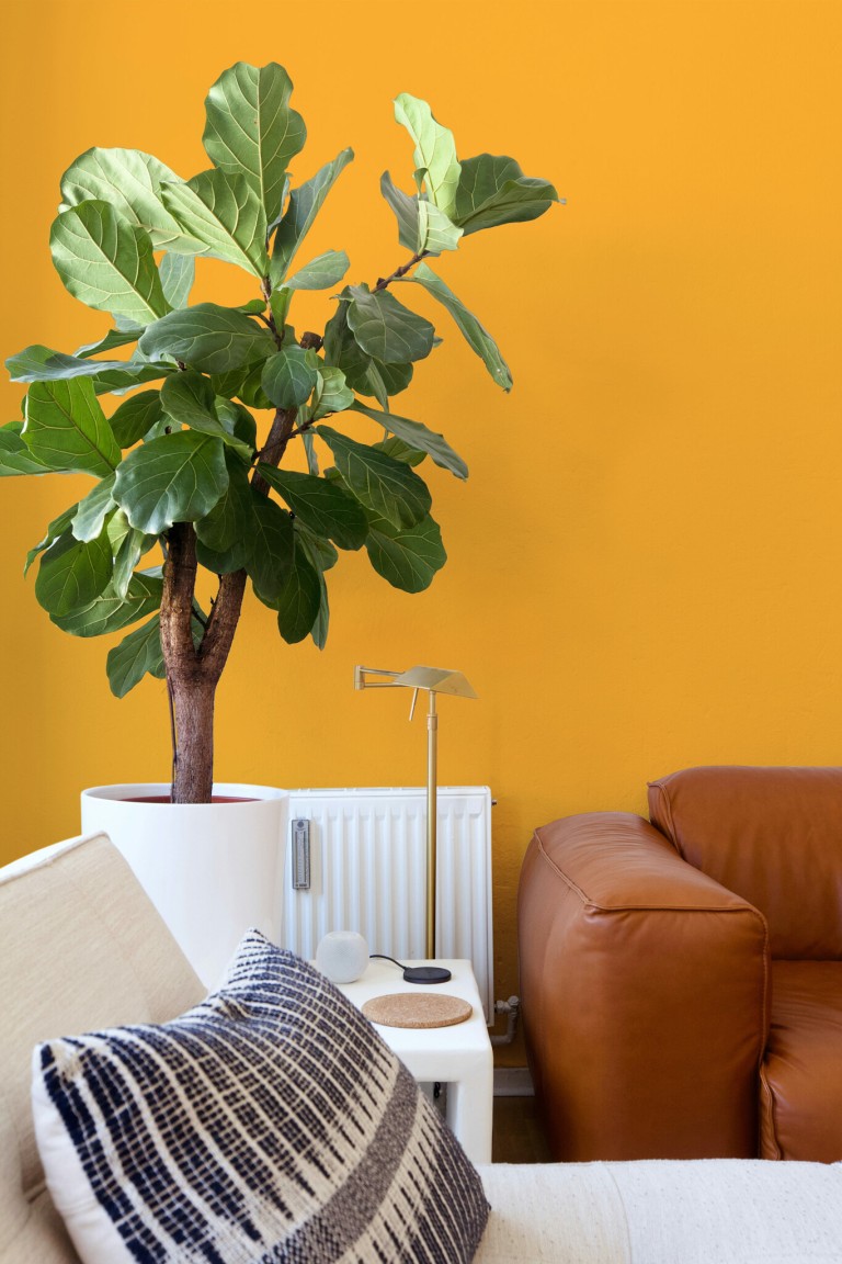 Peach Solid Color Peel and Stick Wallpaper or Non-Pasted