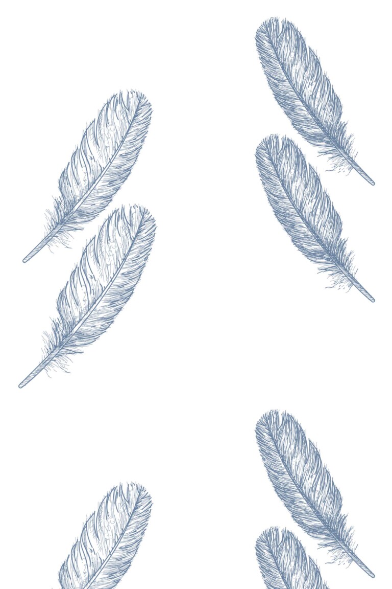 Dawn Feather Peel and Stick Wallpaper or Non-Pasted