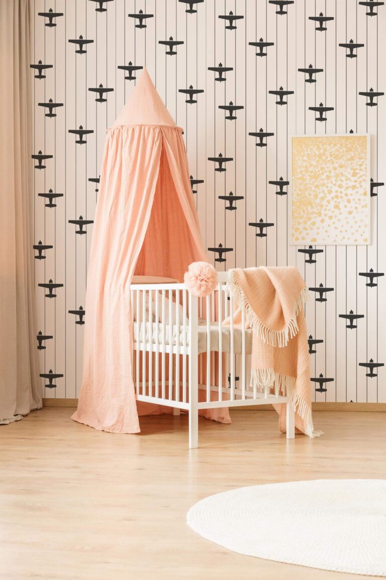 Airplane Peel and Stick Wallpaper or Non-pasted