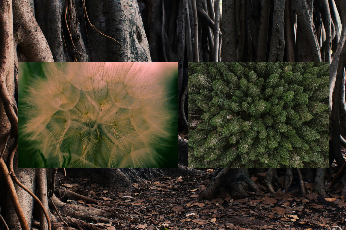 Turn Your Photos Into Wall Murals With Dropshipping