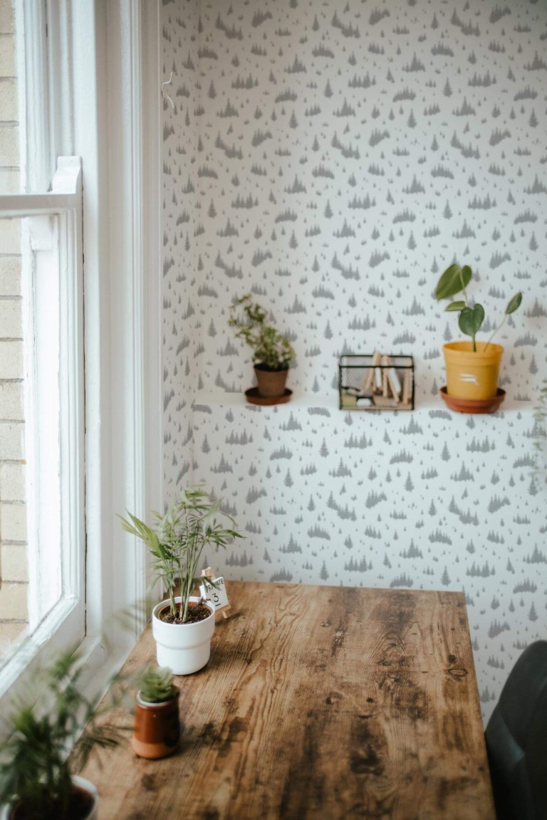 Gray fir tree Peel and Stick Wallpaper or Non-pasted