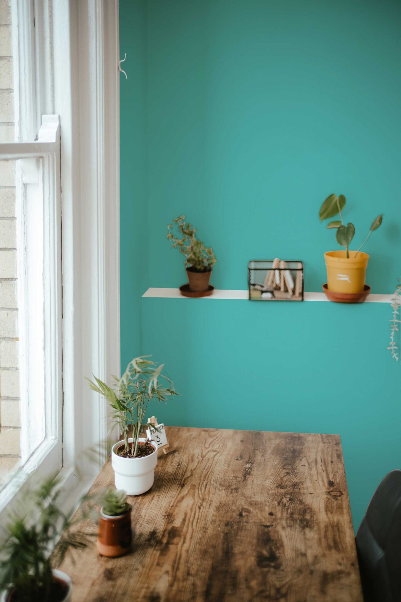 Solid Color Turquoise Wallpaper Peel and Stick / Non-pasted